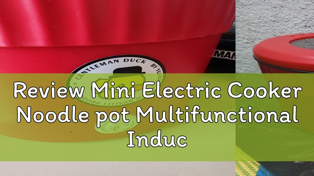 Review Mini Electric Cooker Noodle pot Multifunctional Induction 1.5L ...