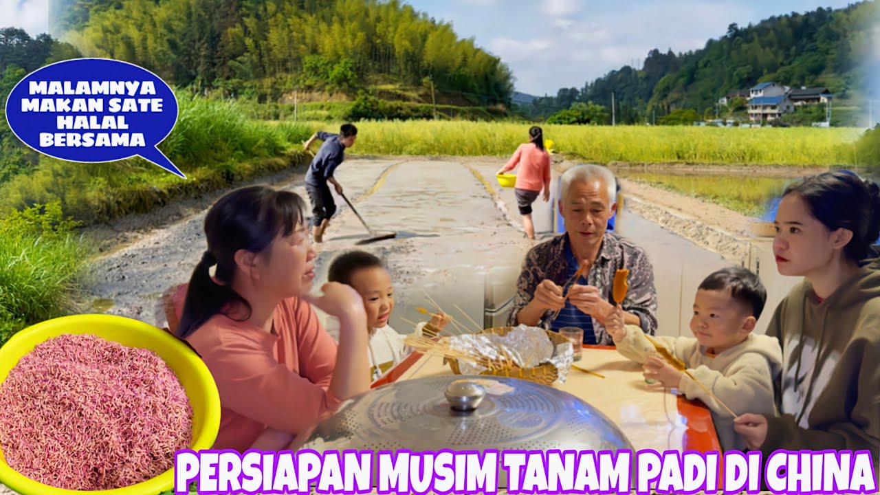 MENJADI PETANI WAKTUNYA MENABUR BIBIT PADI DI SAWAH, LALU CARI SATE DAN ...