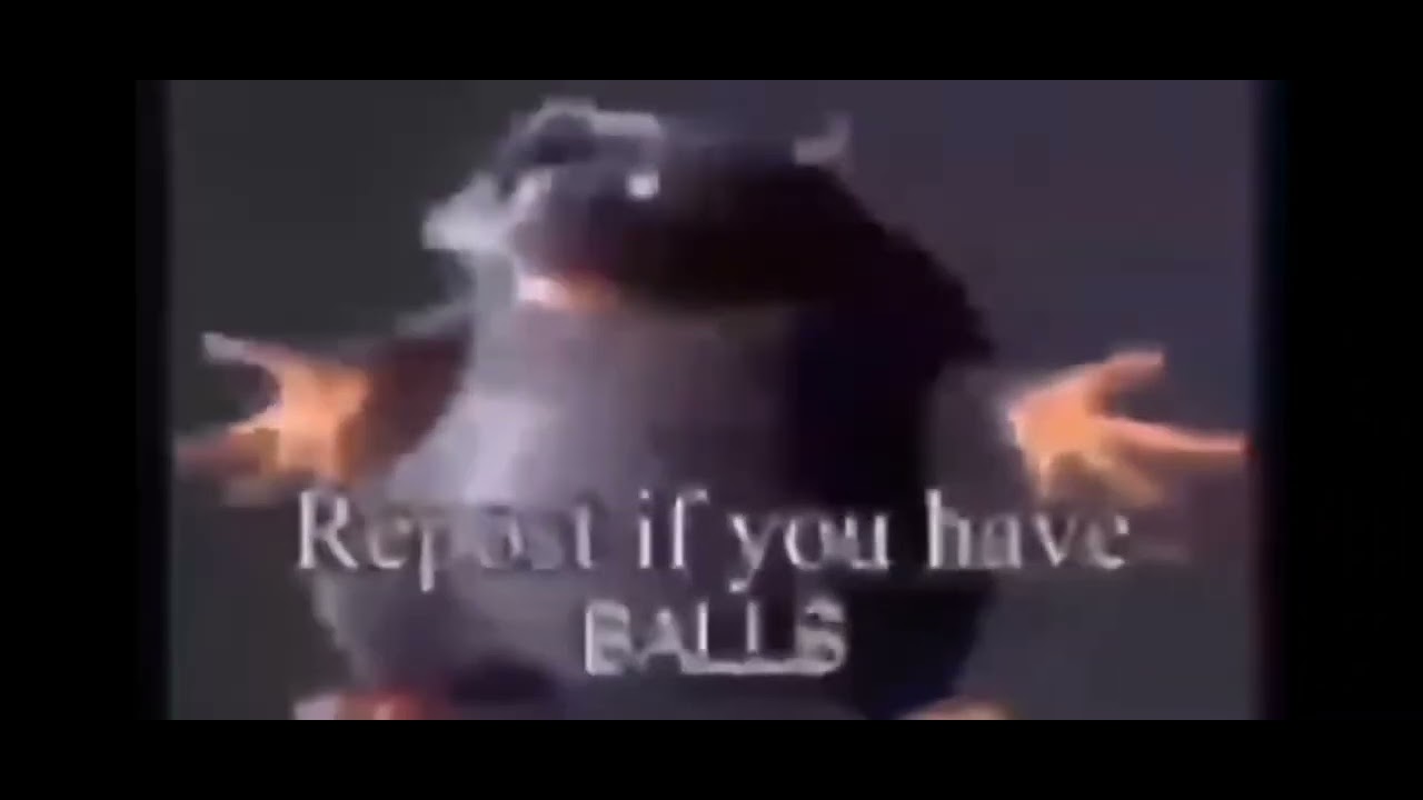 Repost if balls - YouTube