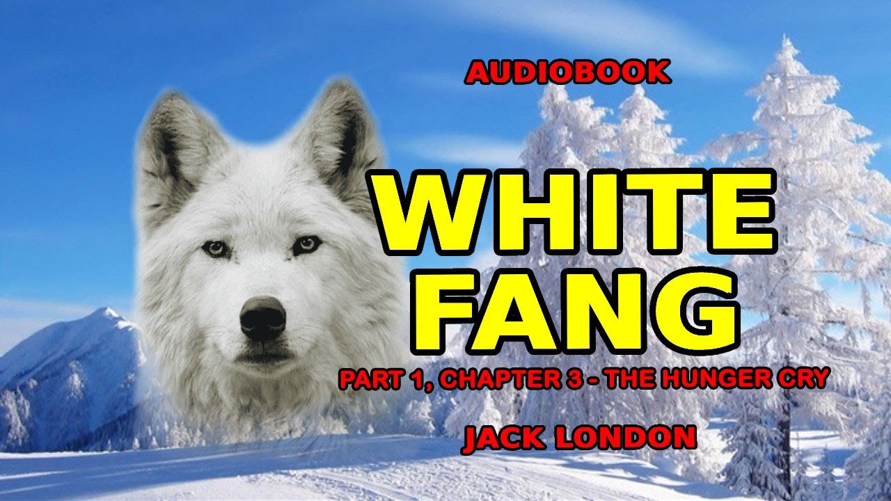 Audiobook - White Fang (by Jack London) - Part 1, Chapter 3 - The ...