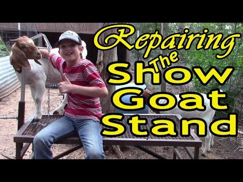 Repairing the Show Goat Stand - YouTube