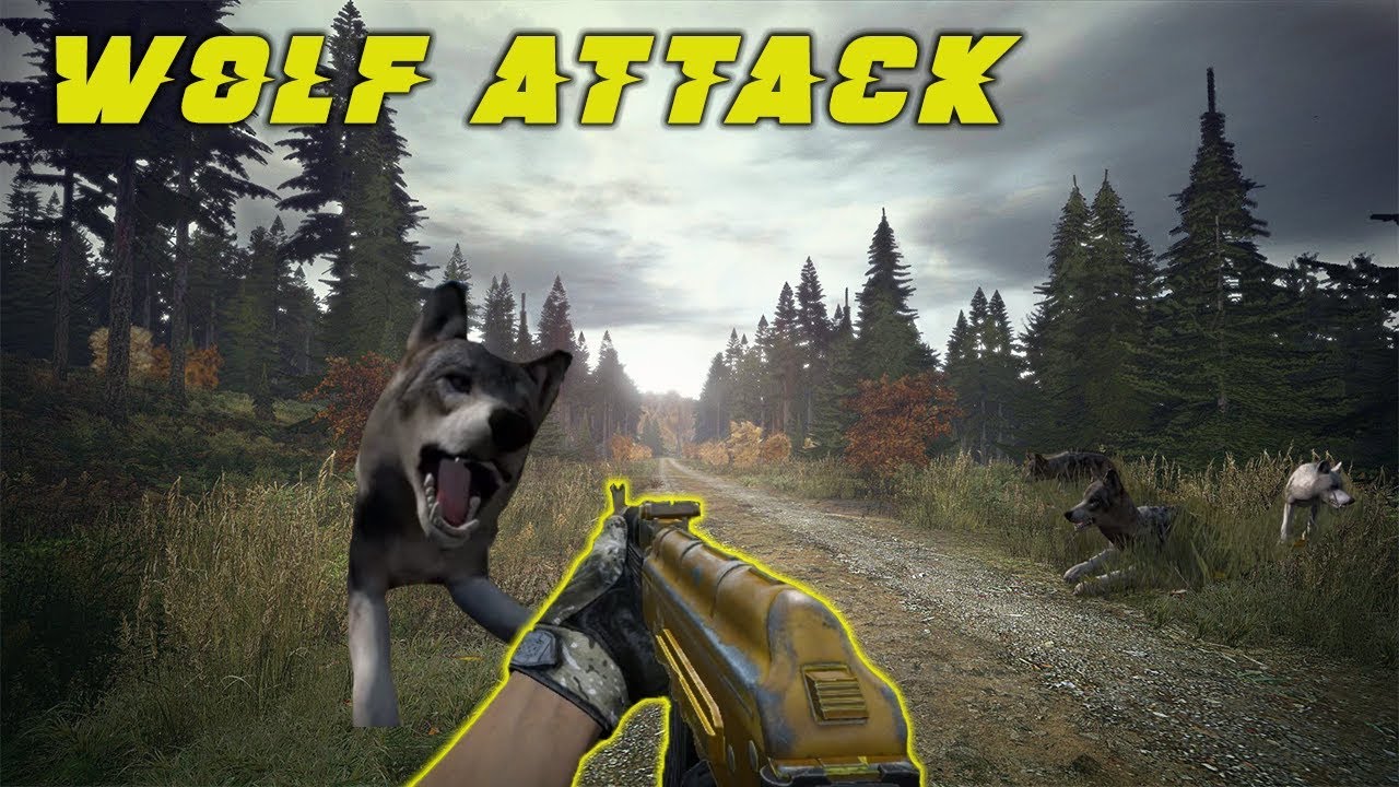 WOLF ATTACK! Small Village PVP DayZ 1.01 - YouTube