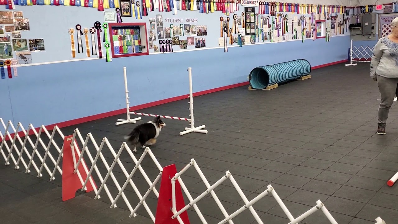 24 Sep 209 Agility Run - YouTube