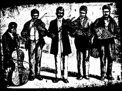 Instrumentala lautareasca stil vechi - YouTube