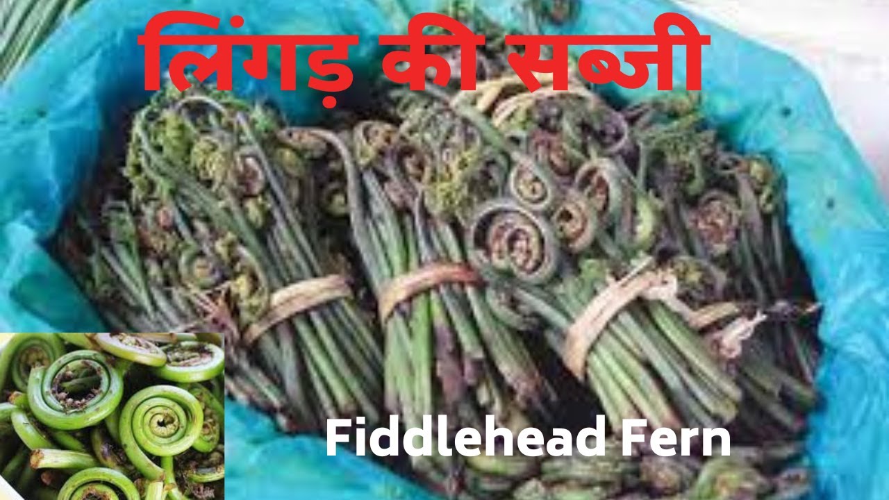 Lingad की सब्जी - YouTube