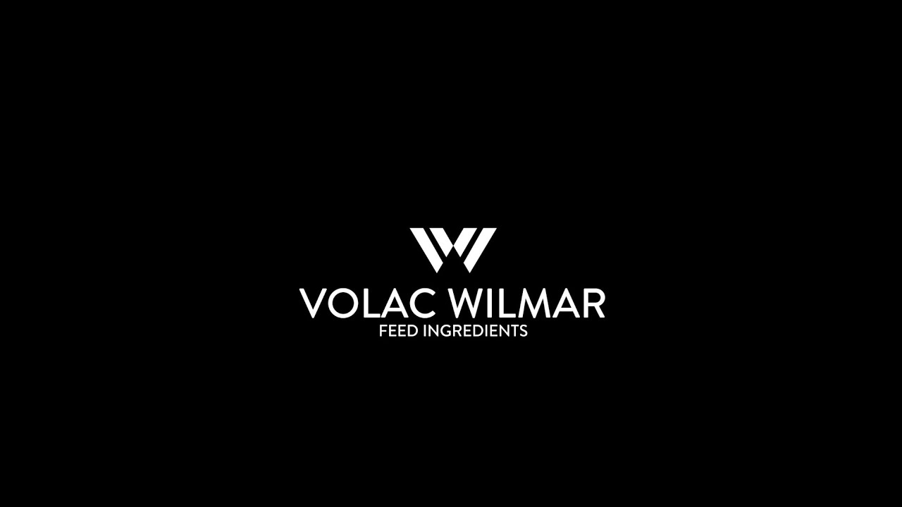 Wilmar Logo Design