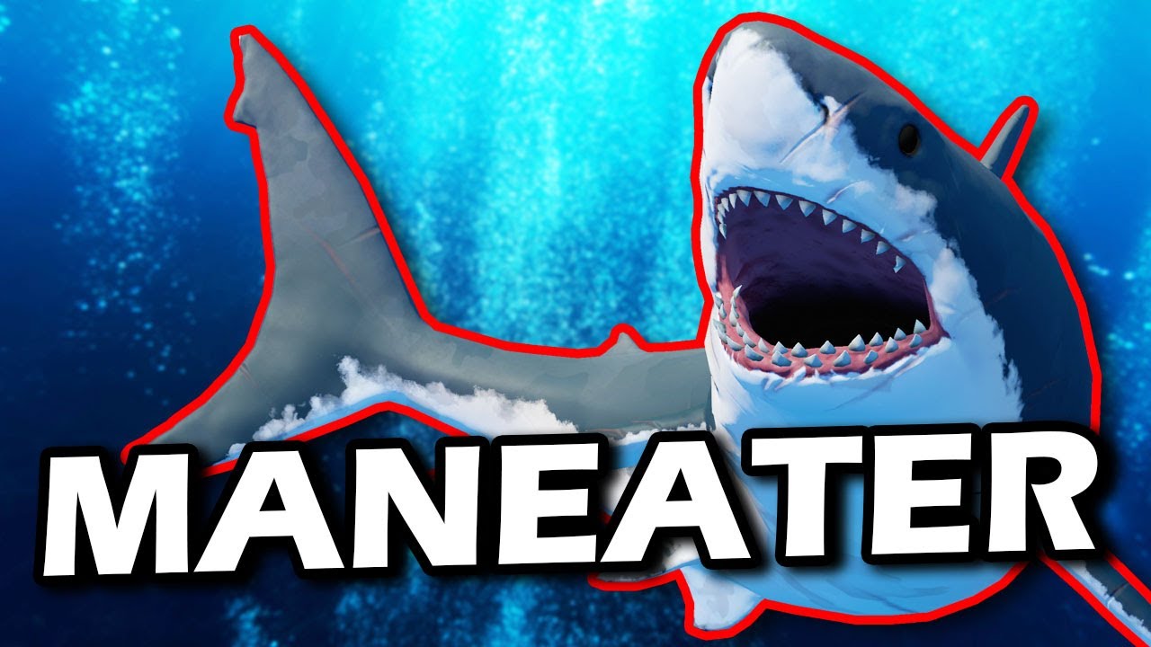 Maneater and book latest! | Your_Pal - YouTube