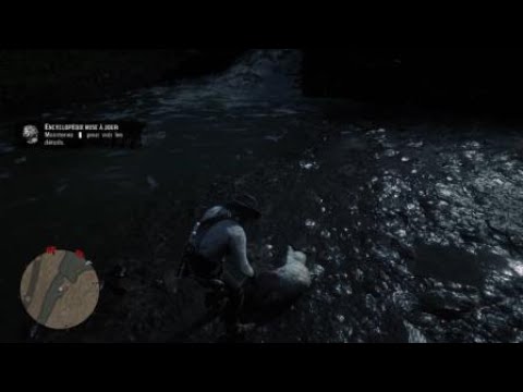 Comment chasser le castor légendaire ? (RDR2) - YouTube