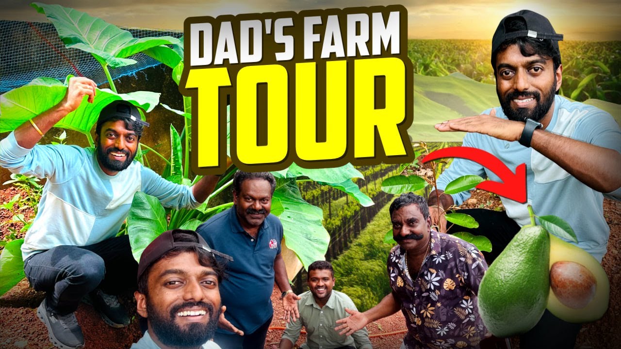 Daddy's Farm Tour 🚜🎋🥑🥭🍠 | DAN JR VLOGS - YouTube
