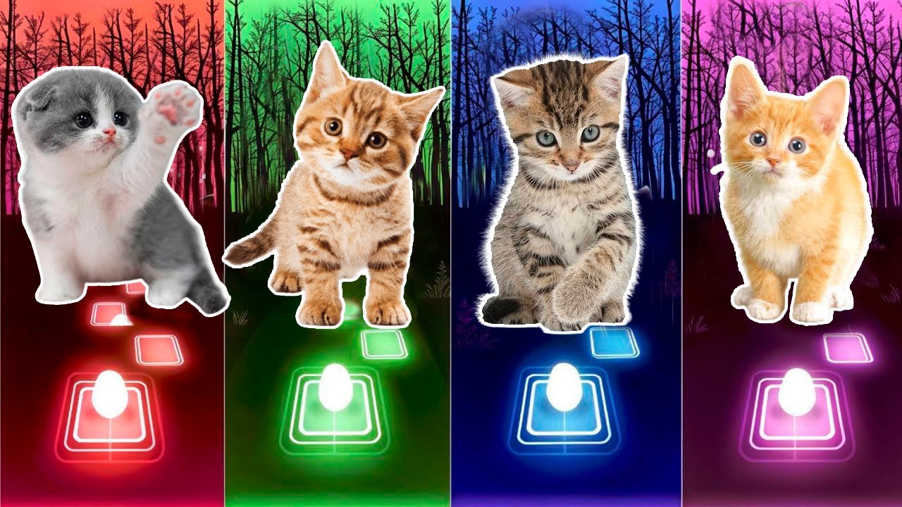 Cute Cats LISA MONEY vs BTS DYNAMITE vs FIFTY FIFTY CUPID vs JISOO ...