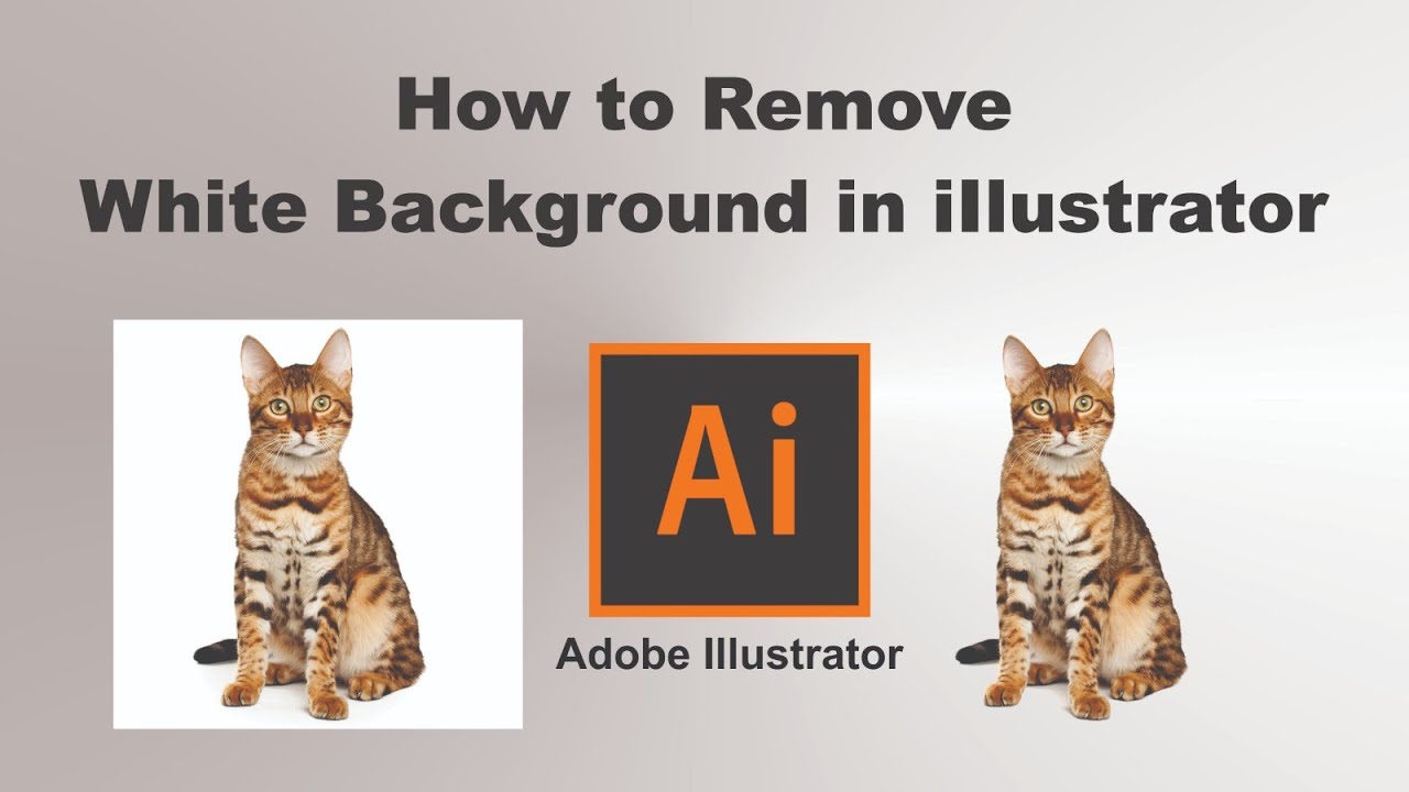 How to Remove Background in illustrator - YouTube