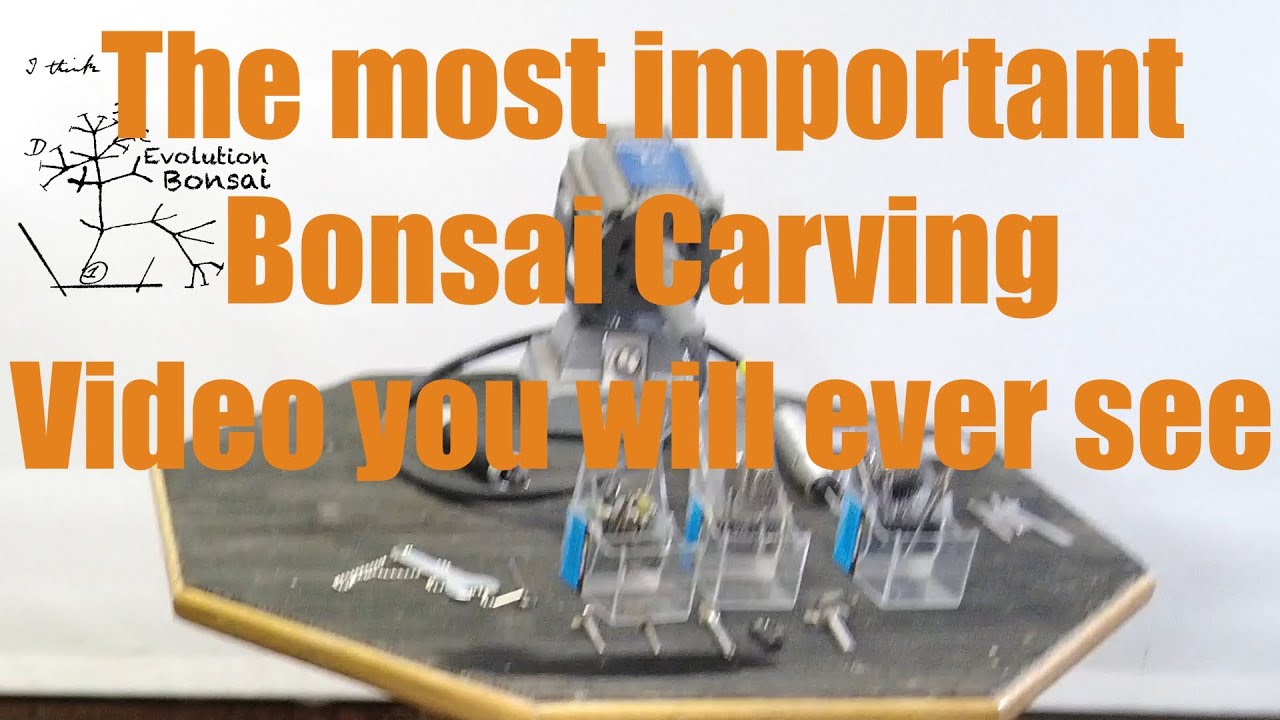 The most important Bonsai Carving video you'll ever see - YouTube