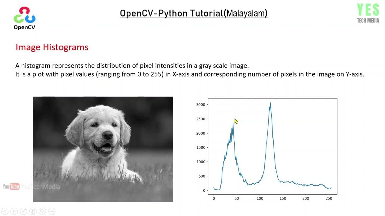 Image Histogram | OpenCV-Python Computer Vision | Malayalam Tutorial | Part-17 - YouTube