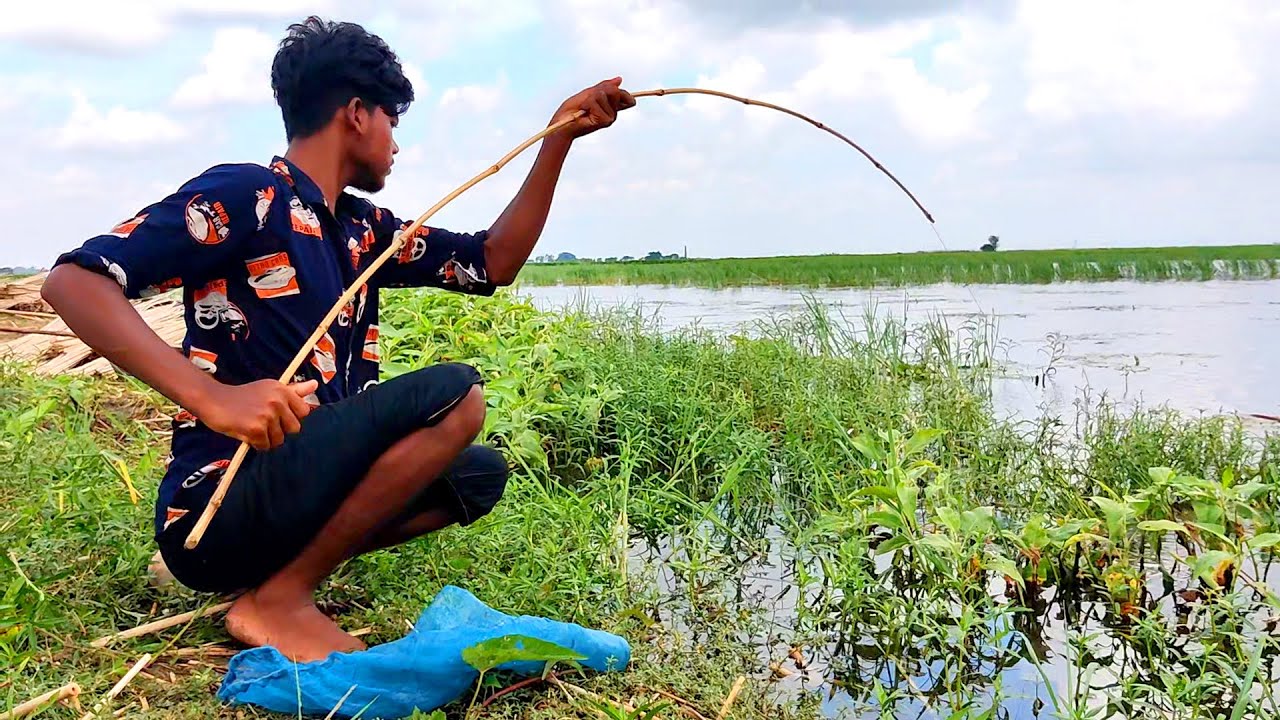 Hook Fishing - Traditional Hook Fishing - MR Fishing Life (Part-587 ...