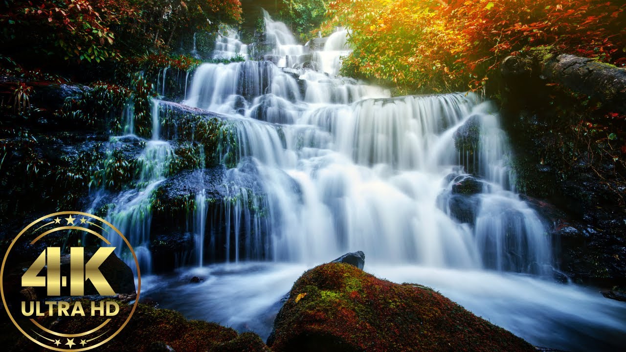 Tiny Wonders Waterfalls on the River 4k - YouTube