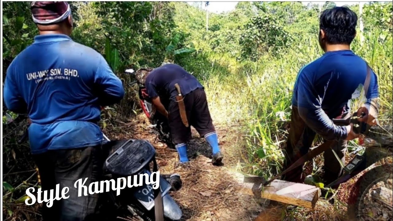 Angkat dan tarik kayu beruti | style Kampung - YouTube