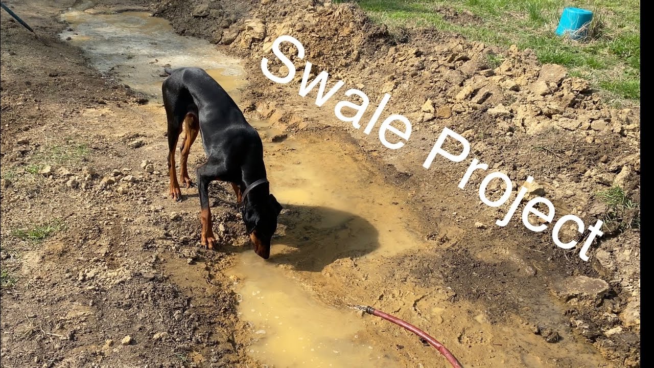 Start of the swale project. April 5, 2023 - YouTube