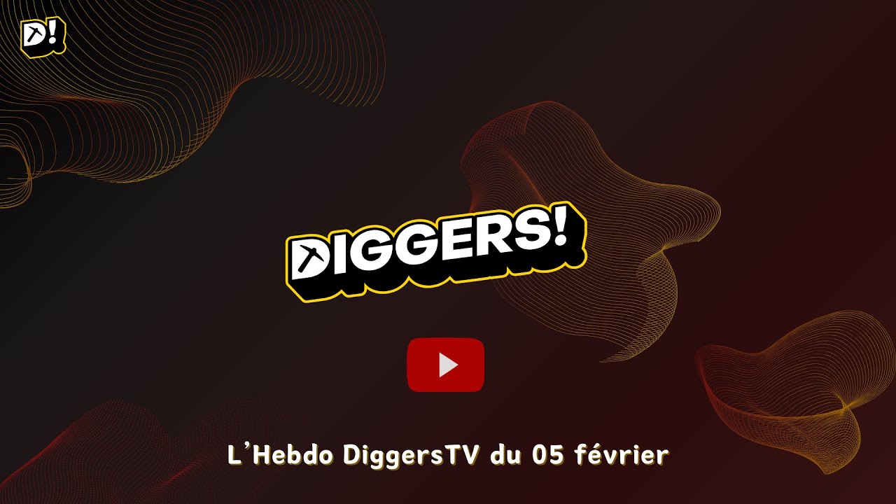 L'Hebdo Diggers TV : Salvador, MultiversX, et ERC404 un nouveau ...