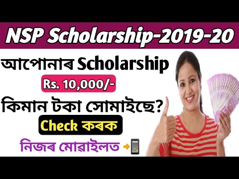 How to check nsp scholarship payment status || NSP scholarship status ...