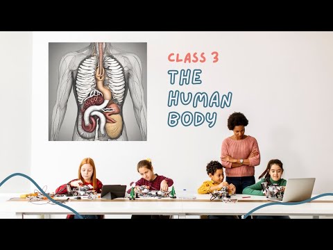 The Human Body for kids | Class 3 | Science | CBSE | Free Lesson - YouTube