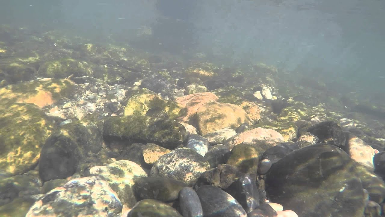 Anti-spawning mat (after footage) - YouTube