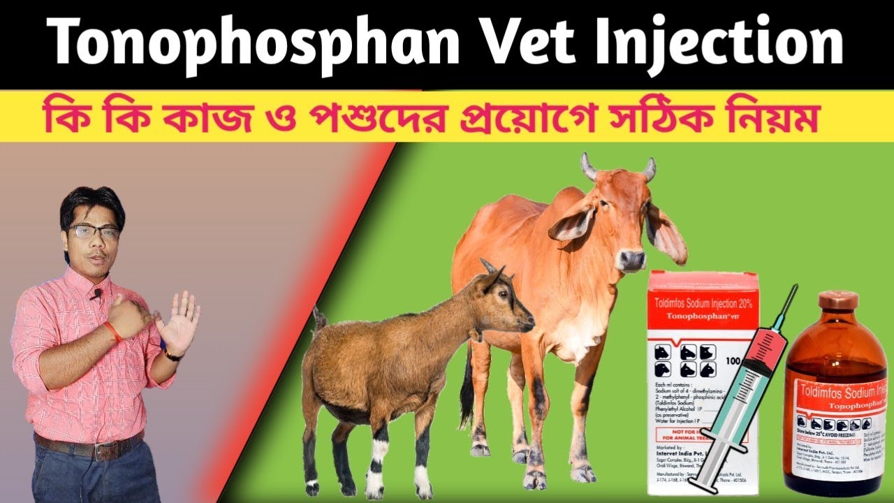 Tonophosphan Vet Injection পশুদের কোন কোন রোগে প্রয়োগ করা হয় Correct ...