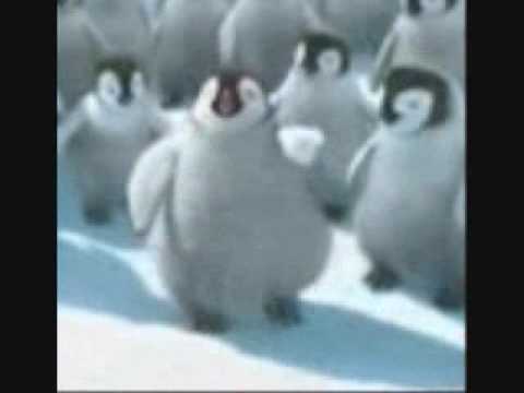 GHETTO PENGUIN LOVES TUPAC - YouTube