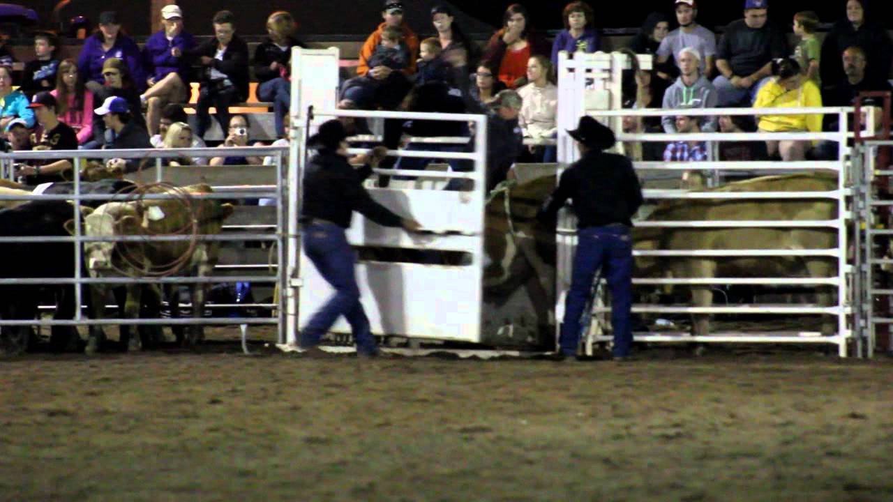 "Bull Riding" Rodeo Night 2014 - Annapolis Valley Exhibition - YouTube