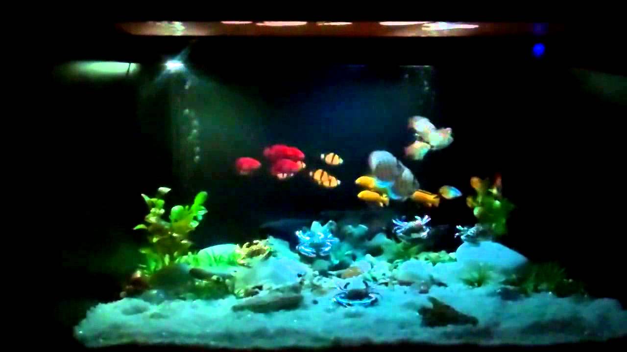 Holographic Fish Tank - YouTube