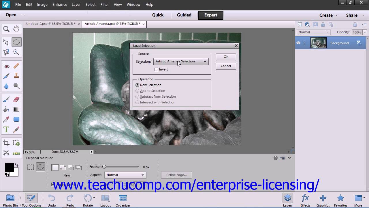 Adobe Photoshop Elements 12 Tutorial Making Selections Employee Group ...