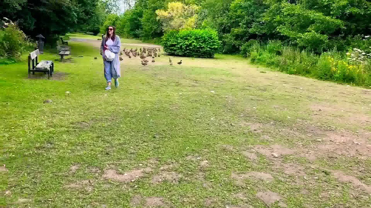 Morning Walk in Beautiful Park. - YouTube