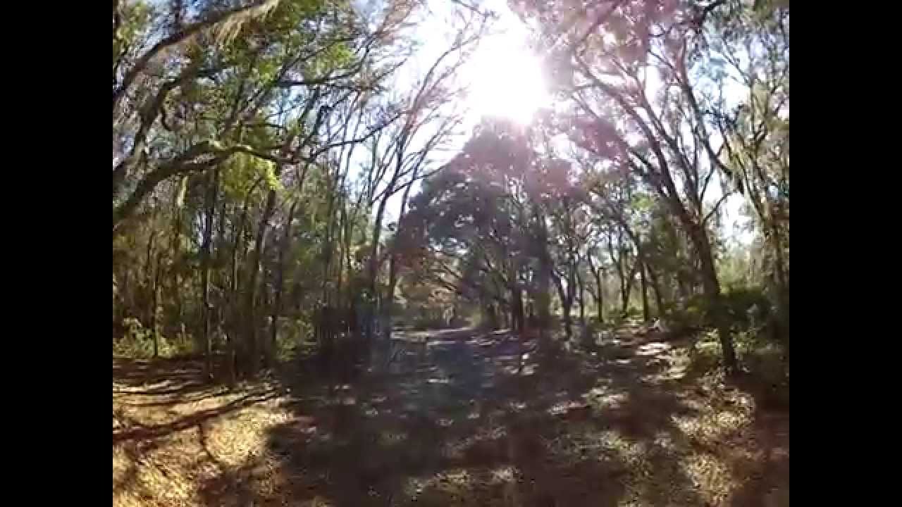 Foster Bridge Camp (Green Swamp West Tract) - YouTube