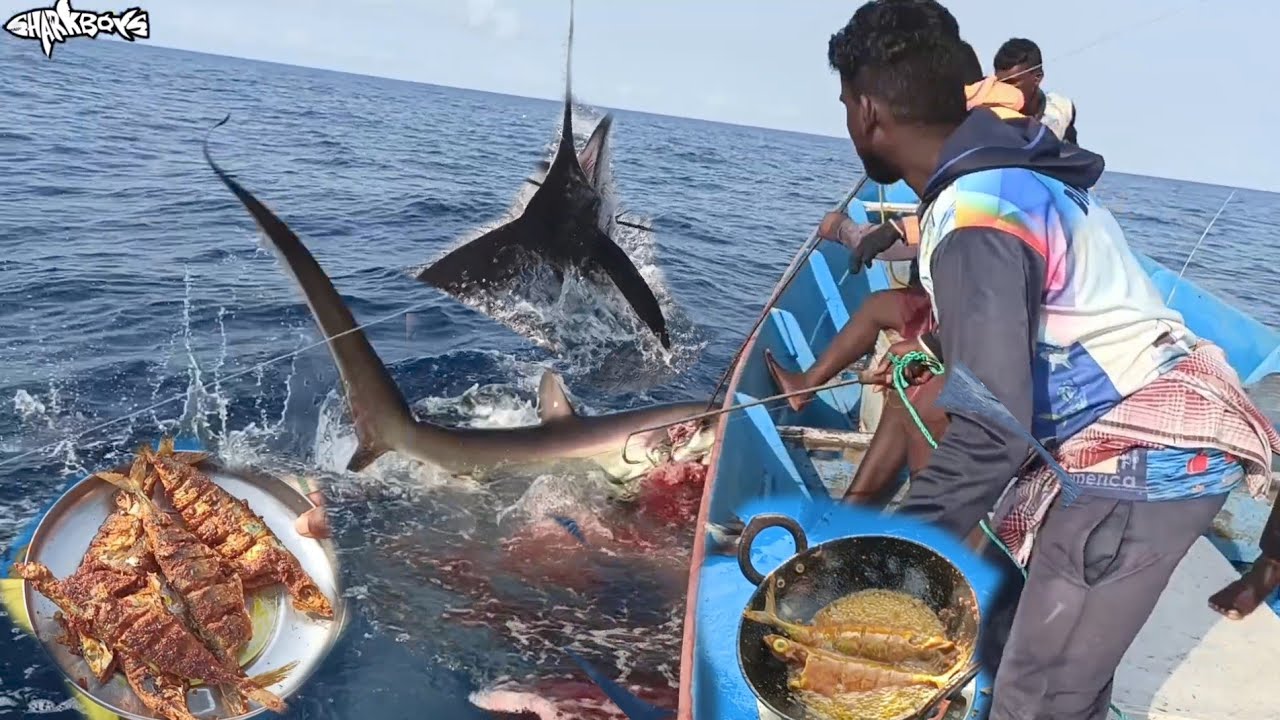 Wow! hunted magnificent sharks and swordfish in the deep sea ...