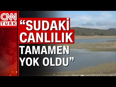 Uzunhızırlı Göleti kurudu, kuşlar bölgeyi terk etti
