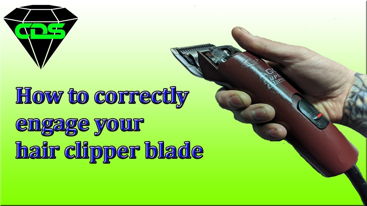How to correctly engage your hair clipper blade - YouTube