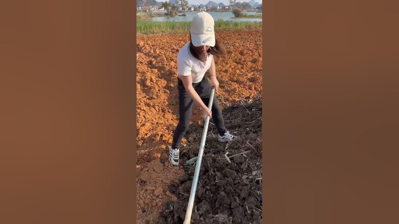 虽然我们很穷，但我们很幸福。我们可能没有多少物质上的财产，但我们有丰富的爱和欢笑。我们的父母努力工作来养活我们，我们感激他们所做的一切。 Youtube