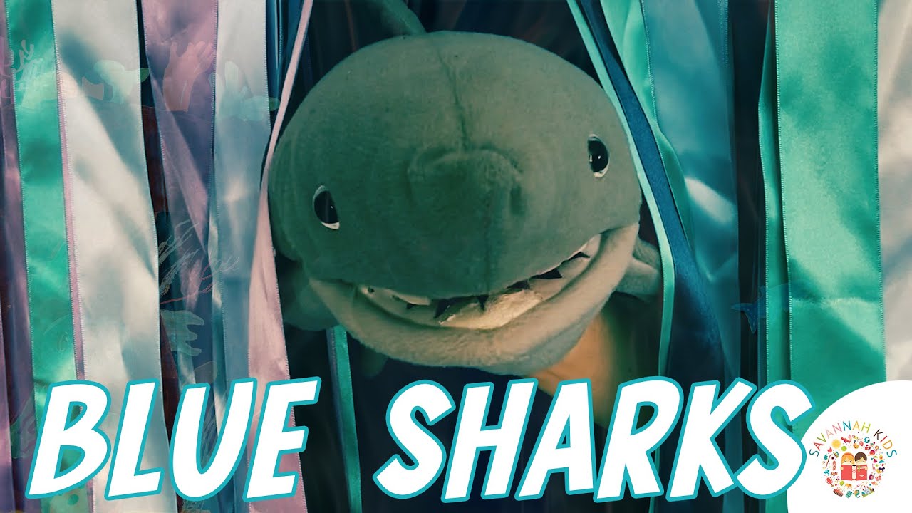 Blue Sharks Kids Song All About Sharks for Children Educational Animal ...