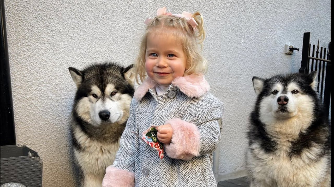 A Day In The Life Of Amelia! We Found Another Dog! (She Called Him Phil ...