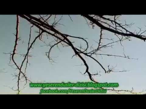 yeşeren düşler 16