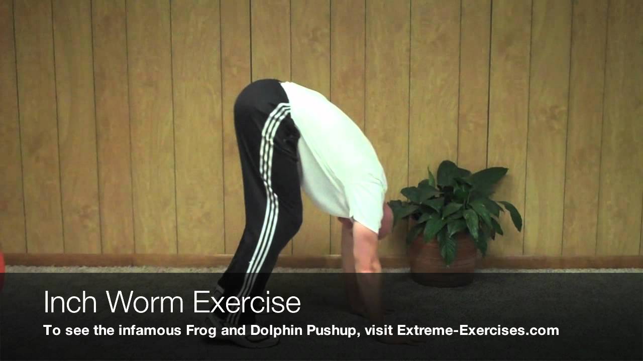 Inch worms exercise-WEIRD WORM exercise! - YouTube