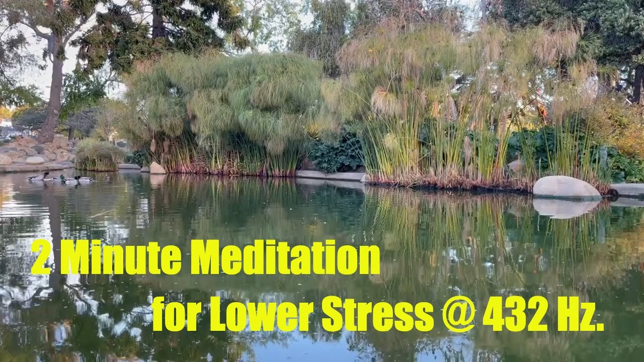 Transform Your Morning Routine with a 2-Minute Meditation for Positive ...