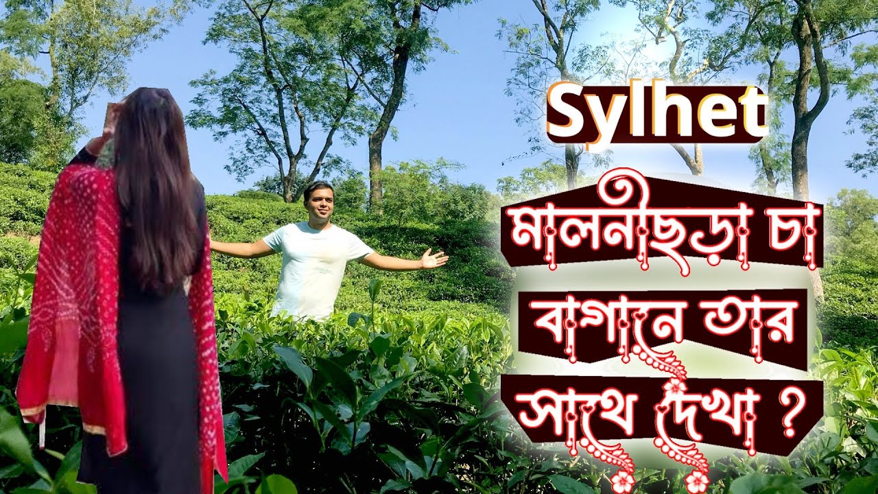Maline Chora Cha Bagan In Sylhet / মালনীছড়া চা বাগানের তার সাথে দেখা#dailyvlog #vlogs - YouTube