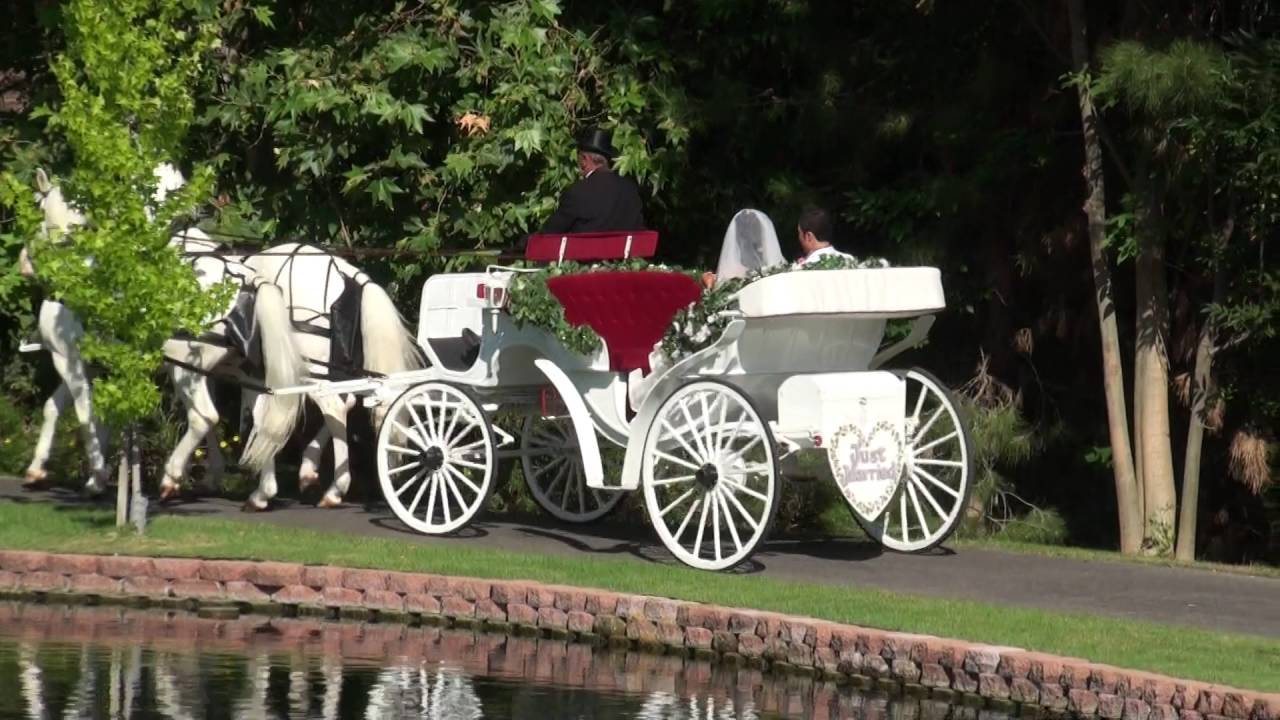 20110619 Newly-Wed -white Horse drawn open Carriage - YouTube