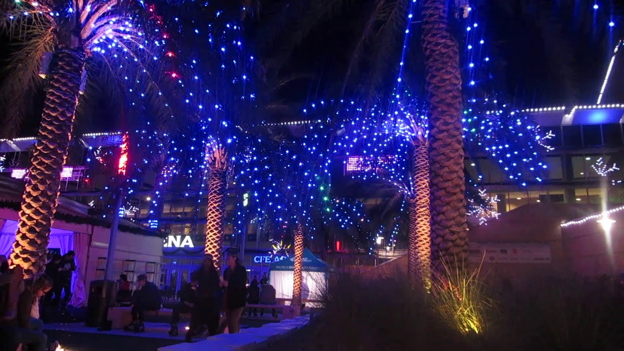 We check out Music, Lights and Ice at Light up UCF - YouTube