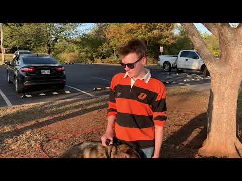 Testimonials - Tip Top K9