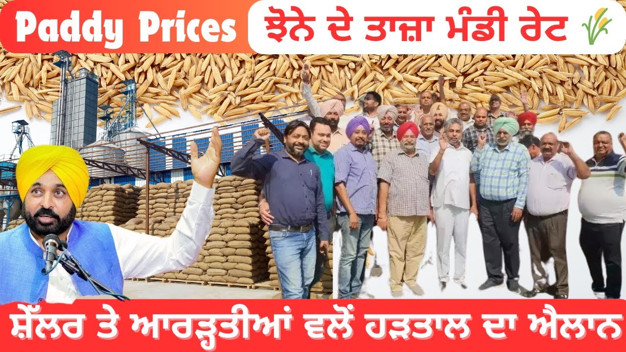 Paddy Prices| ਸ਼ੇੱਲਰ ਮਾਲਕਾਂ ਤੇ ਆਰੜ੍ਹਤੀਆਂ ਵਲੋਂ ਹੜਤਾਲ ਦਾ ਐਲਾਨ| ਝੌਨੇ ਦੀ ...