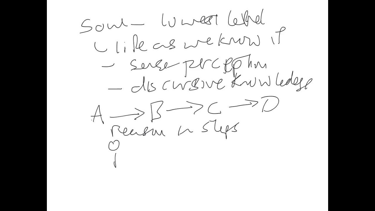 Plotinus' Hierarchy (Video 1) - YouTube