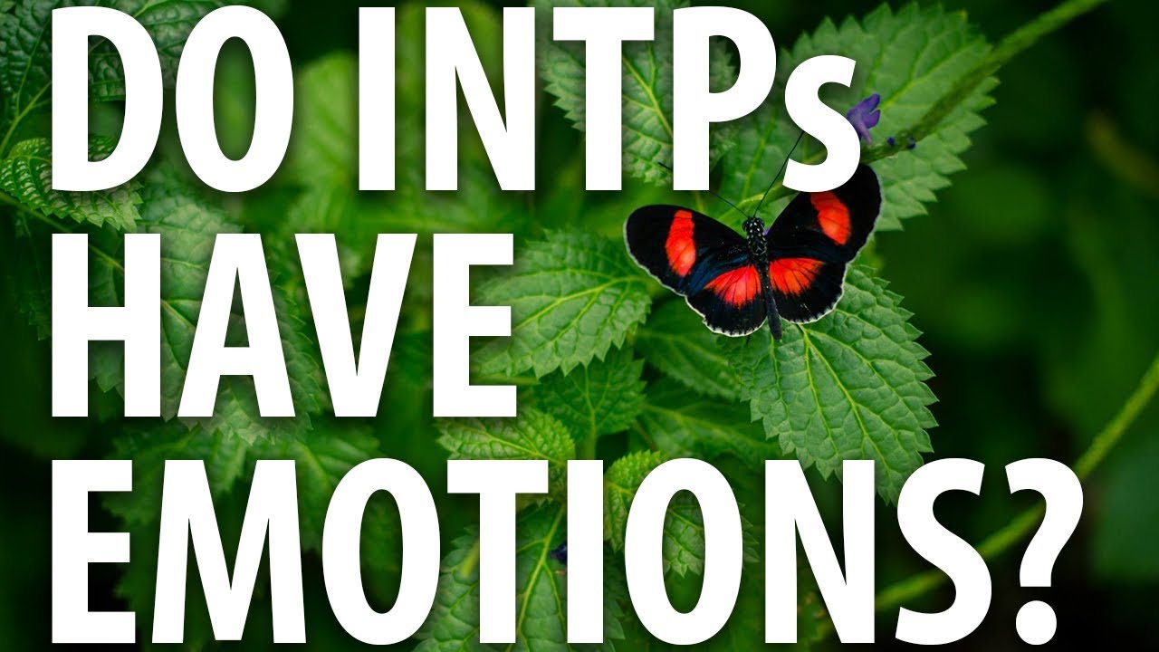 Do INTPs Have Emotions? - YouTube