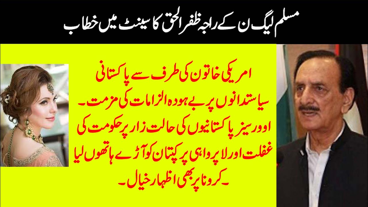 PMLN Raja Zafar Ul Haq Complete Speech In Senate || Charsadda ...