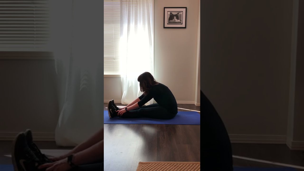 PT Skills—Long Sitting Stretch (Stretching) - YouTube